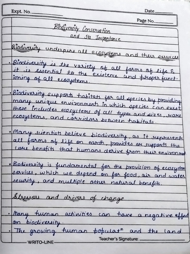 EVS Assignment | PDF