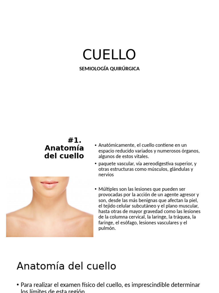 CUELLO | PDF