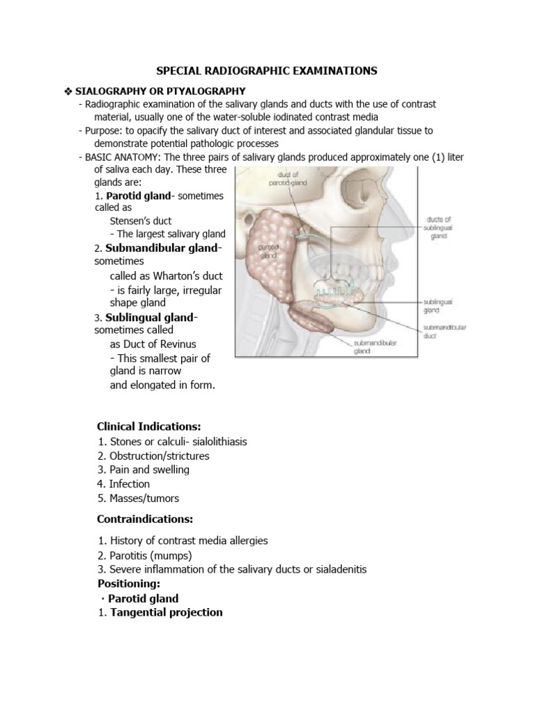 Sialo-Palato-Naso 240801 163702 | PDF | Human Head And Neck | Human Anatomy