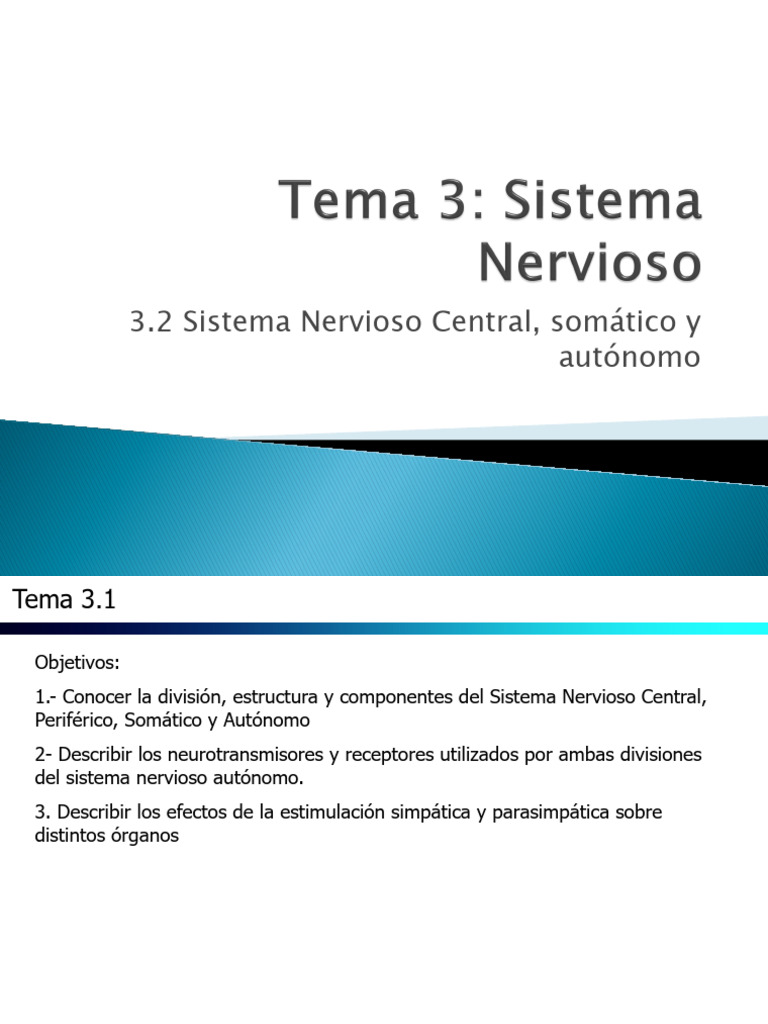 3.2. Sistema Nervioso Central, Autonomo y Somatico Reducido | PDF