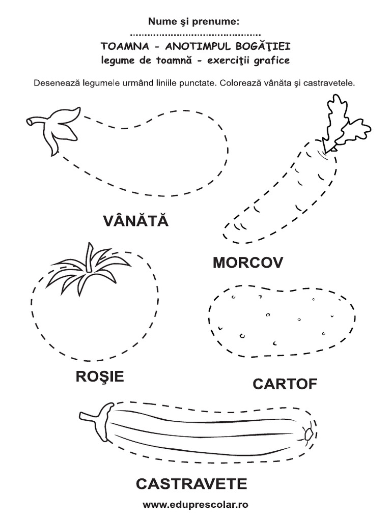 Mt10 7 Fructe Si Legume de Toamna Exercitii Grafice | PDF