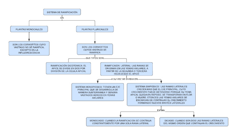 Tema 2 Parte 2 | PDF