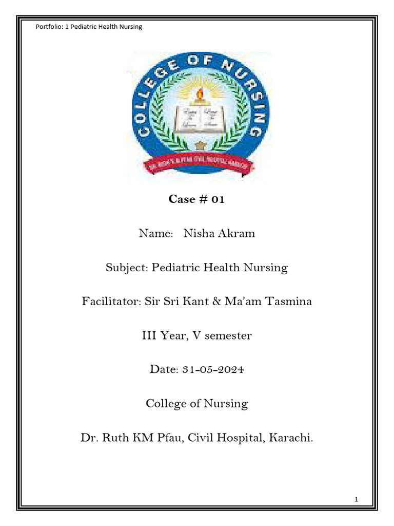 Nisha Akram portfolio 1 | PDF