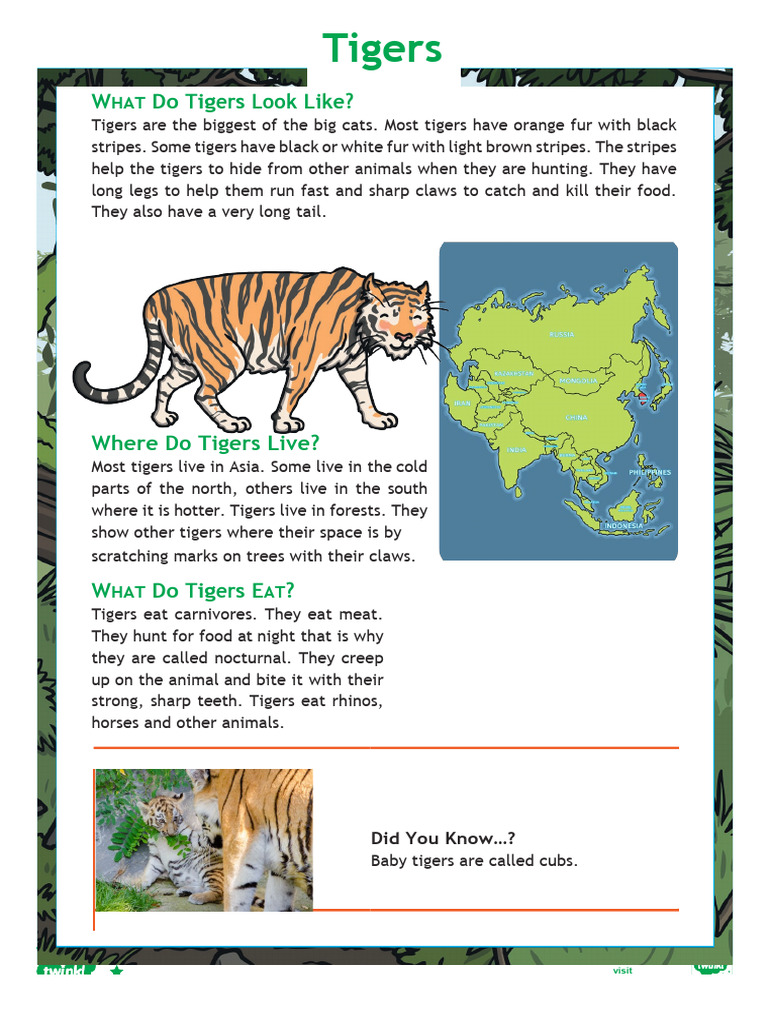 Tigers | PDF