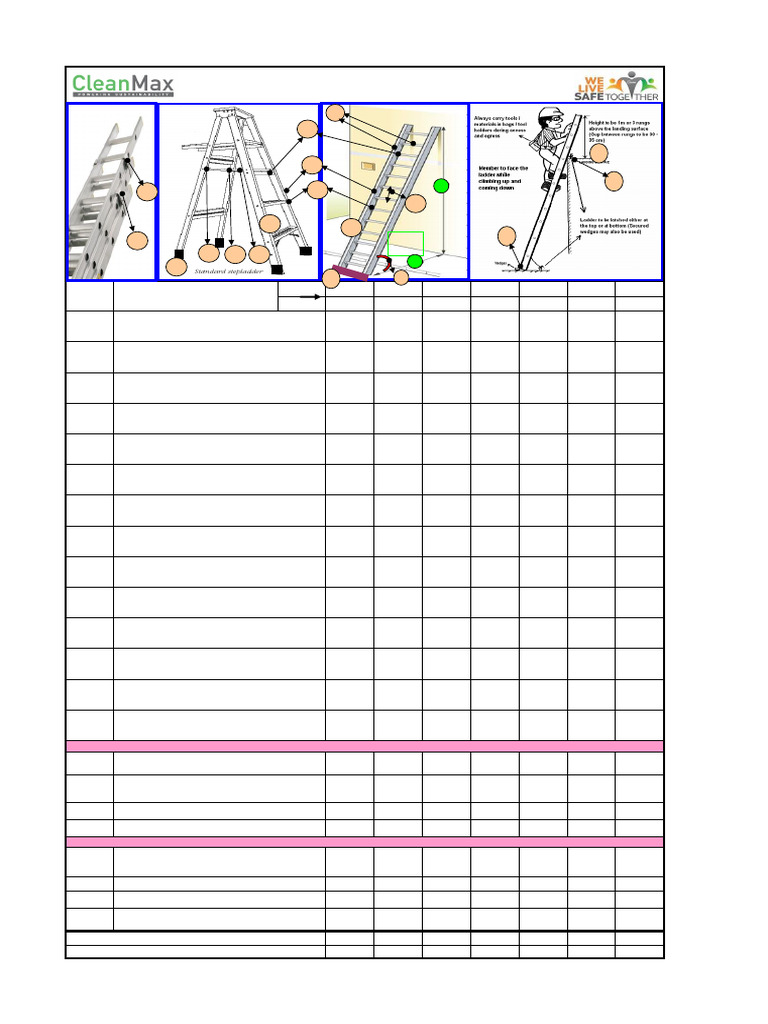 CHECK LIST FOR LADDER | PDF
