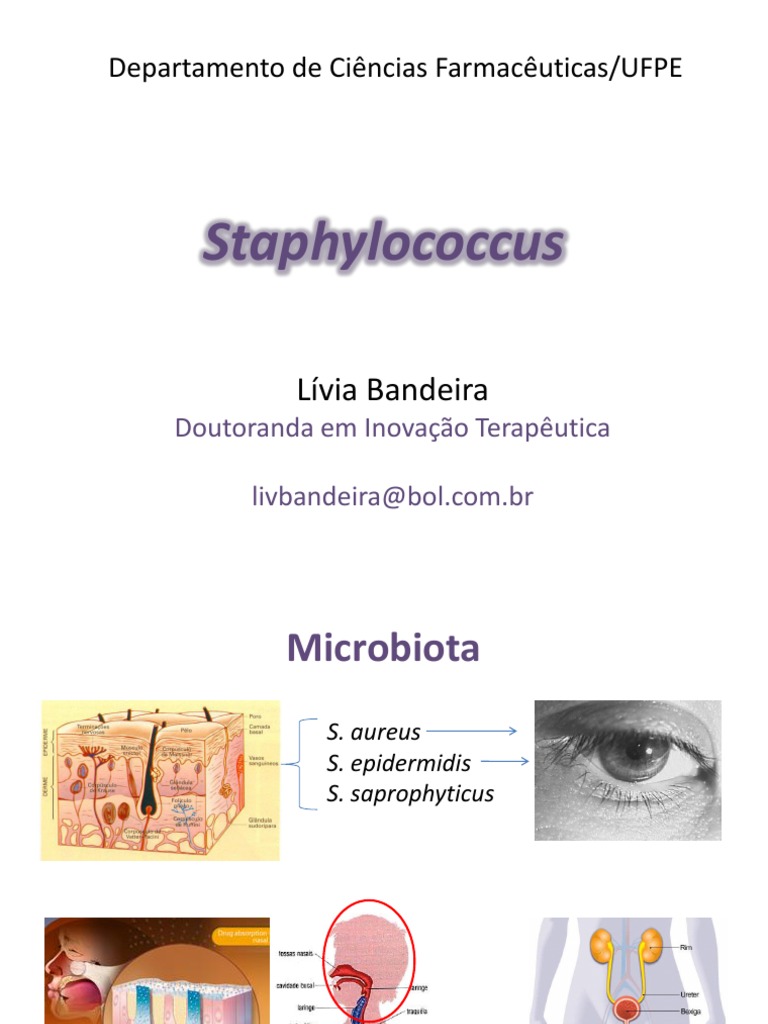 Staphylococcus | PDF | Staphylococcus Aureus Resistente à Meticilina ...