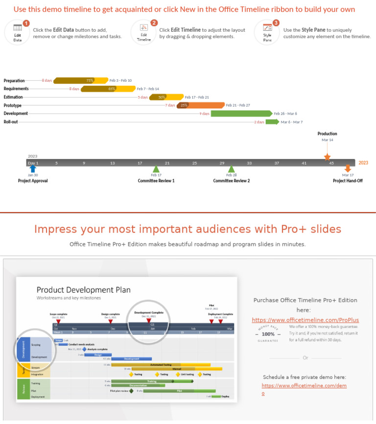 Demo Timeline Basic Edition | PDF
