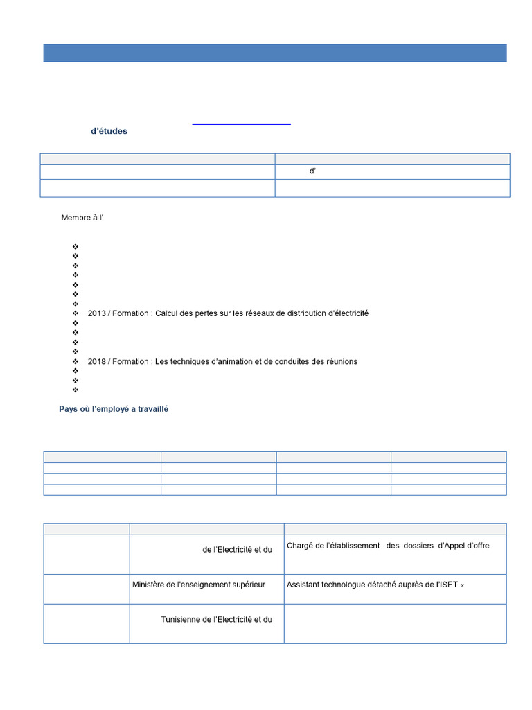CV Argui Nabil Mois 03.2024 | PDF