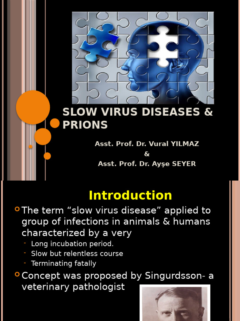 Slow Virus Diseases Prions | PDF