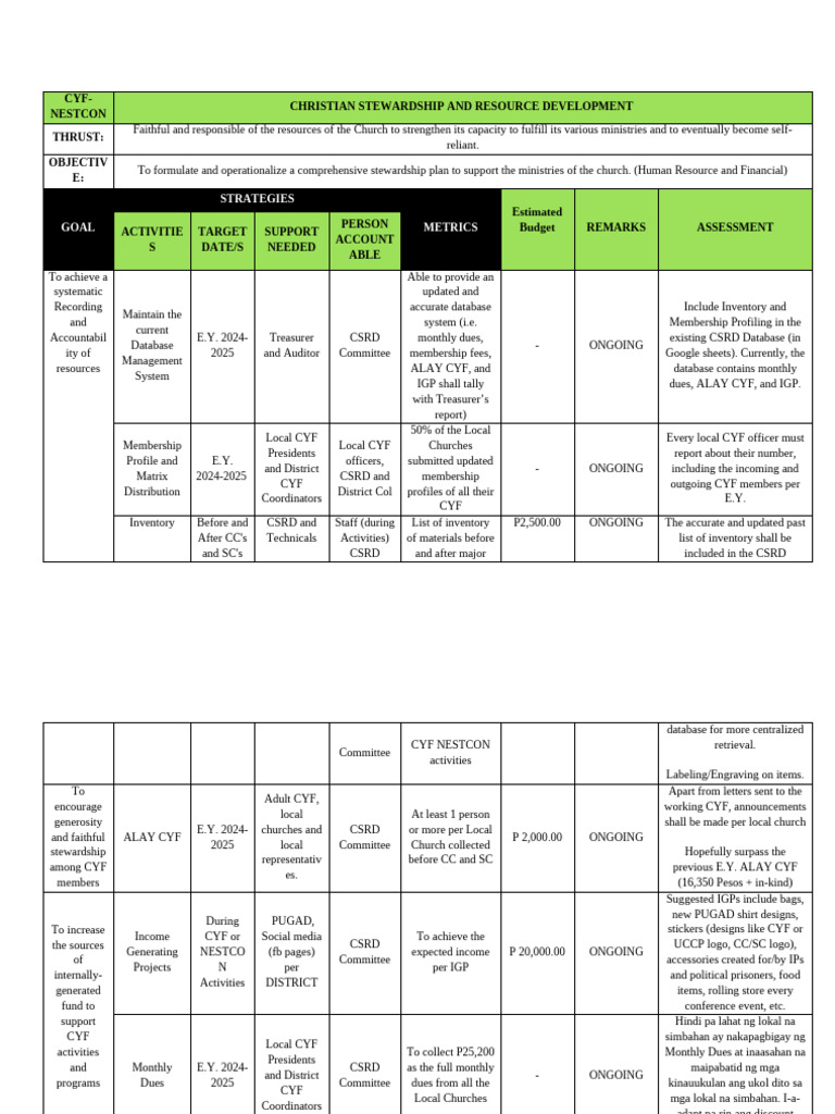 CYF NESTCON Program Plan 2024 2025 | PDF