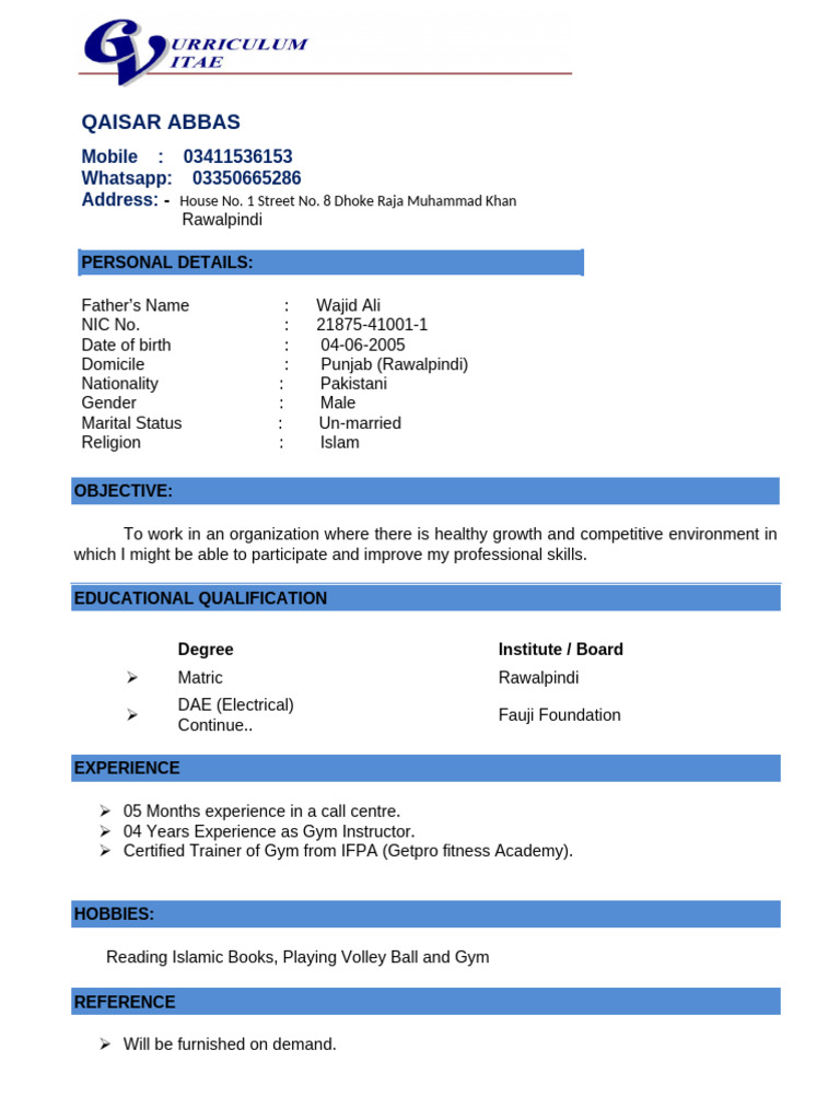CV Format | PDF