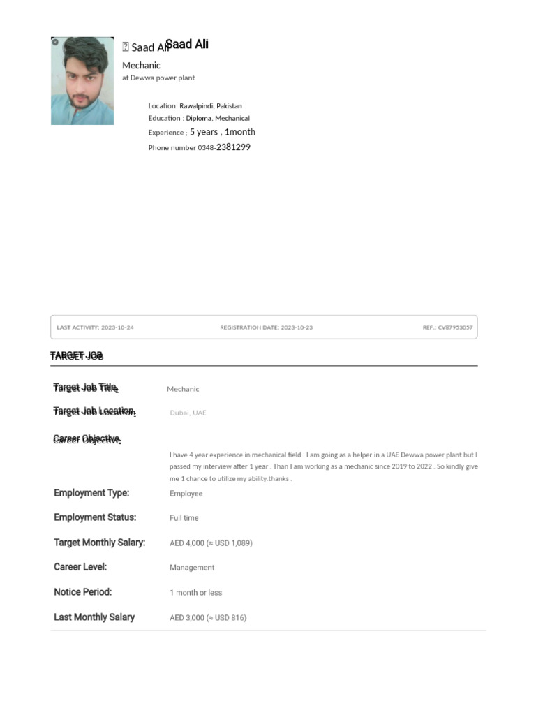 CV Templates | PDF