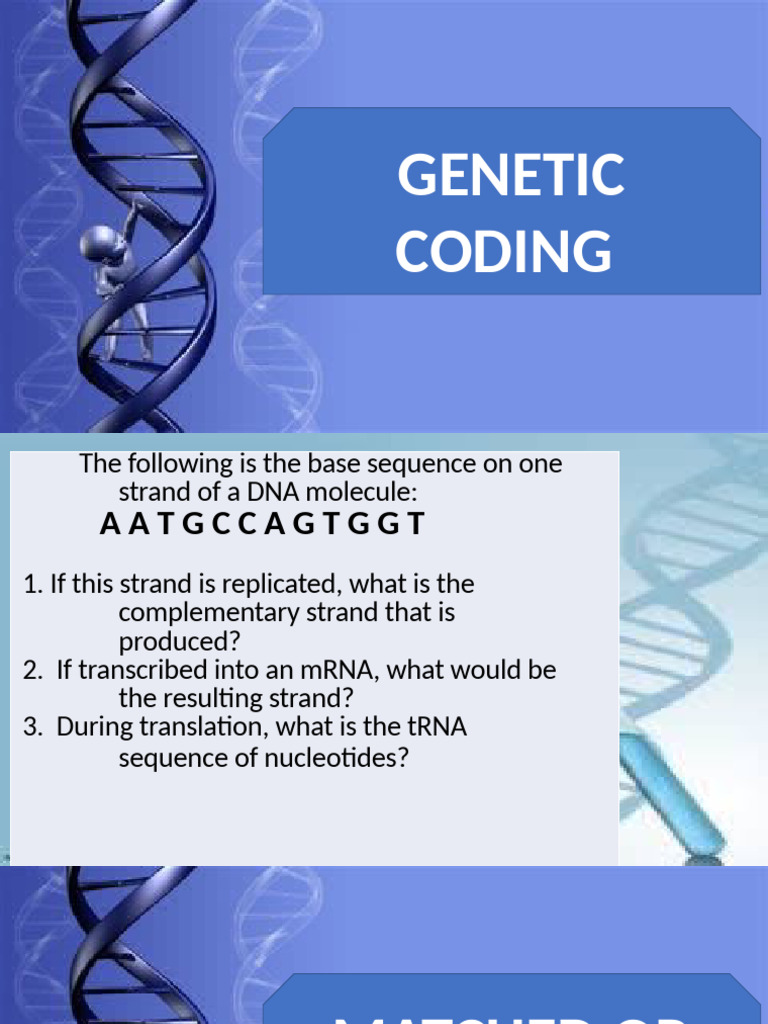 Genetic Coding | PDF