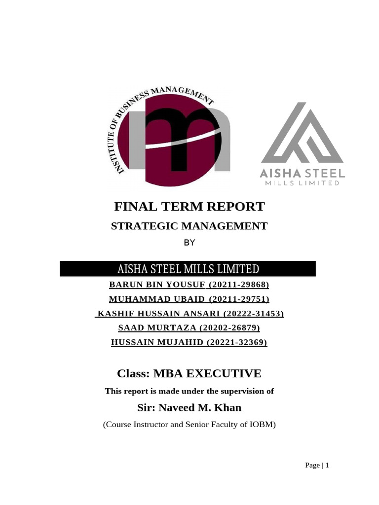 SM_FINAL_REPORT | PDF