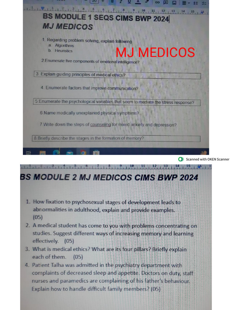 BS Modules Cims BWP 2024 | PDF