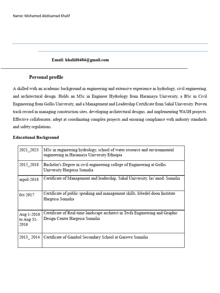 MOHAMED CV PSU | PDF | Somalia | Art