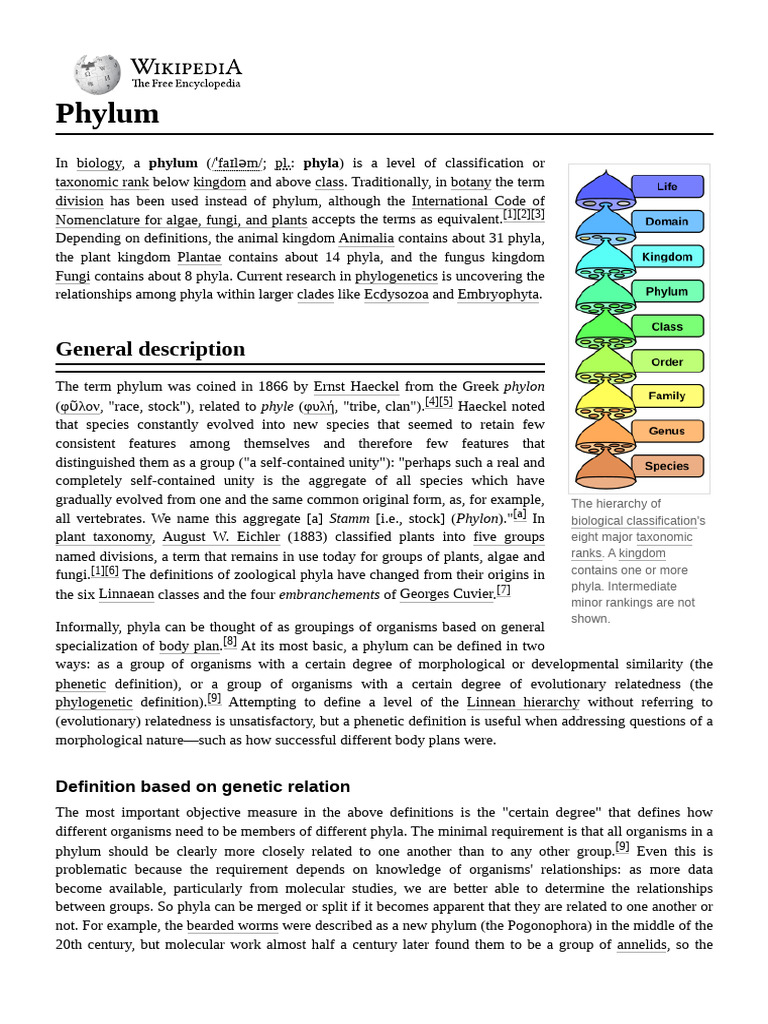Phylum | PDF