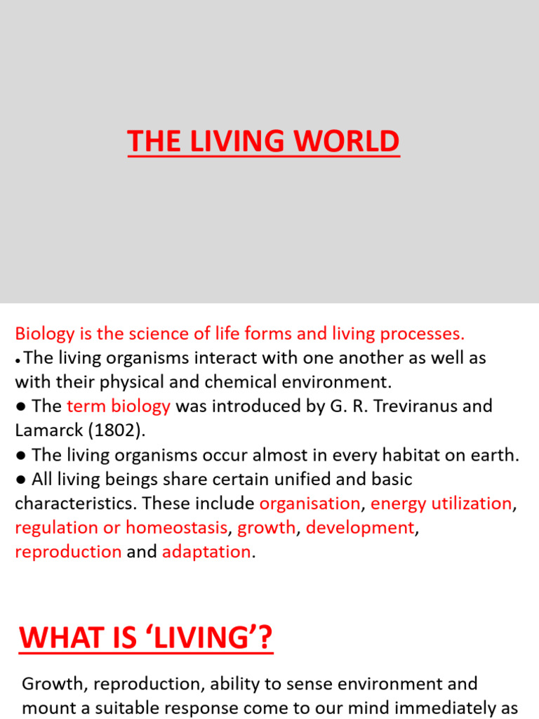 Living World 1 | PDF