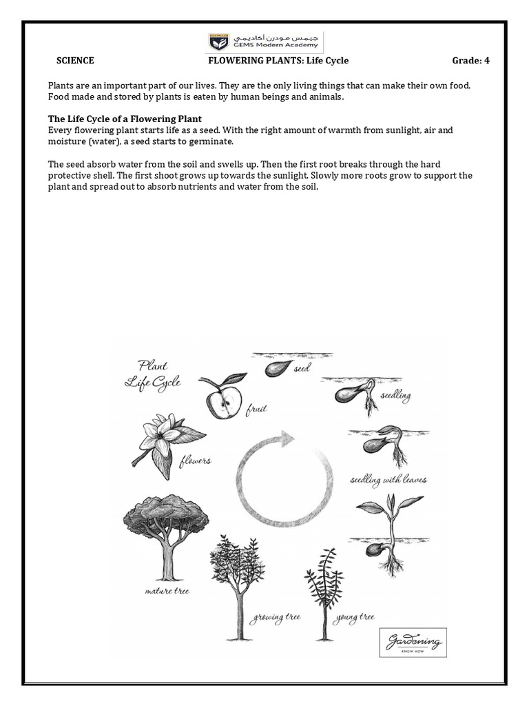 Grade 4 e Book - Flowering Plants 2 | PDF