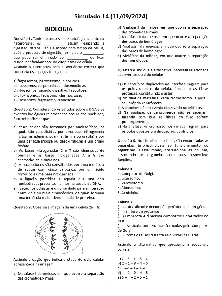 Simulado | PDF
