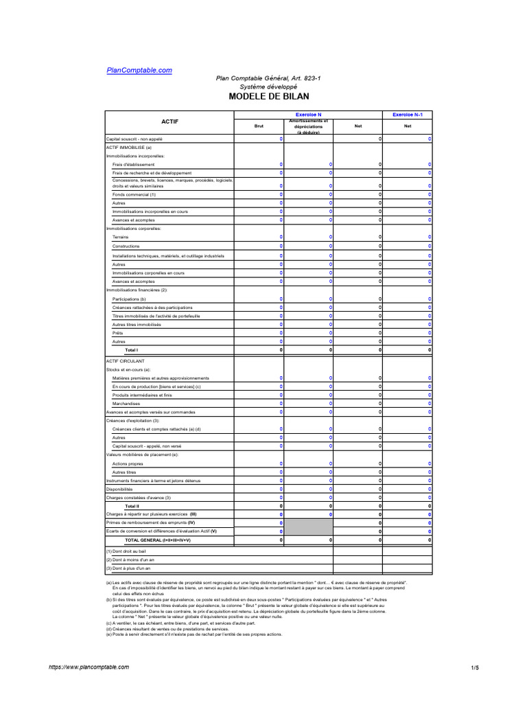 Modèle de bilan comptable détaillé | PDF | Capitaux propres ...
