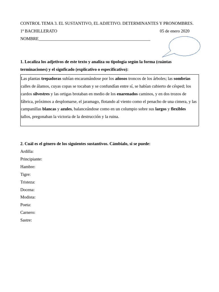 Control Tema 3 - Morfosintaxis | PDF