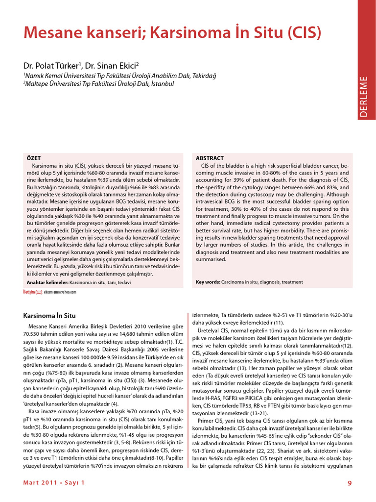 Mesane Kanseri CIS | PDF
