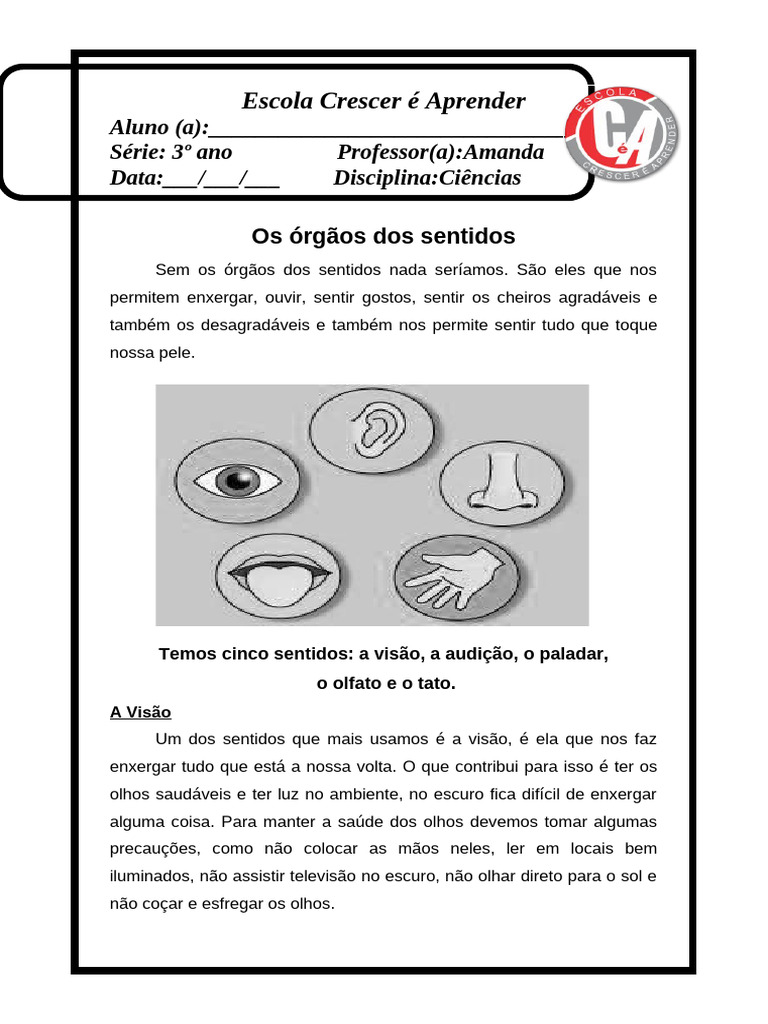 ATIV 3° Ano Órgãos Dos Sentidos | PDF