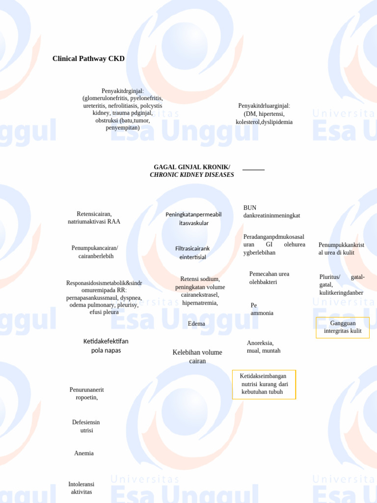 Clinical_Pathway_CKD | PDF