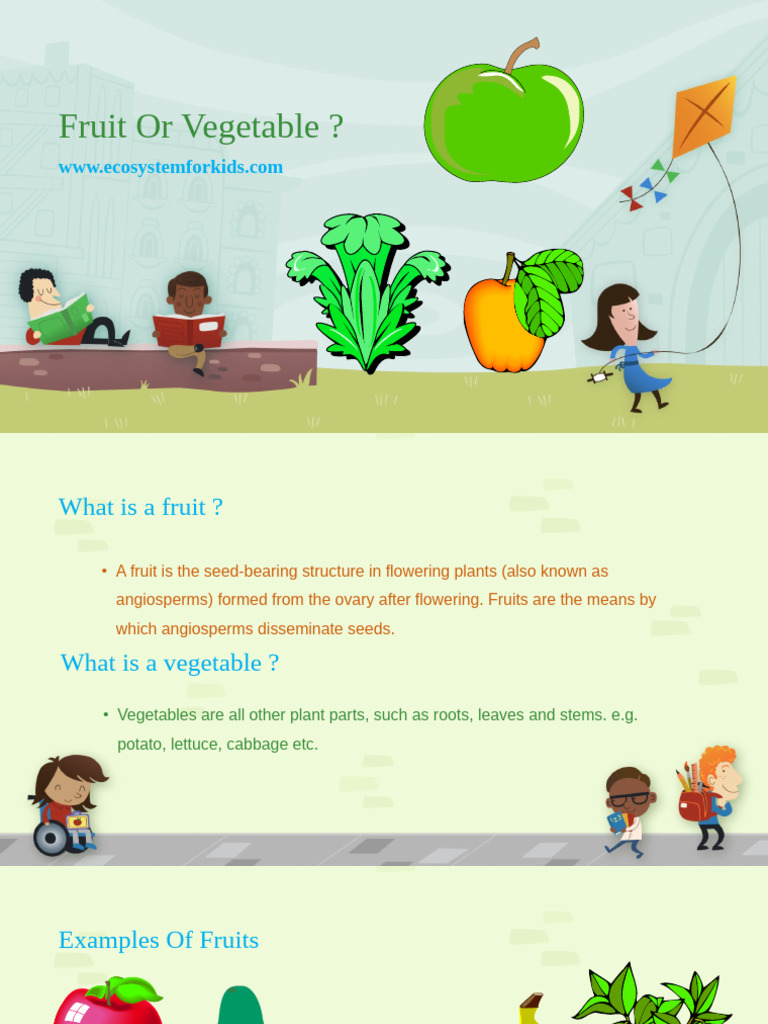 Fruit vs Vegetable: Definitions & Examples | PDF | Science & Mathematics