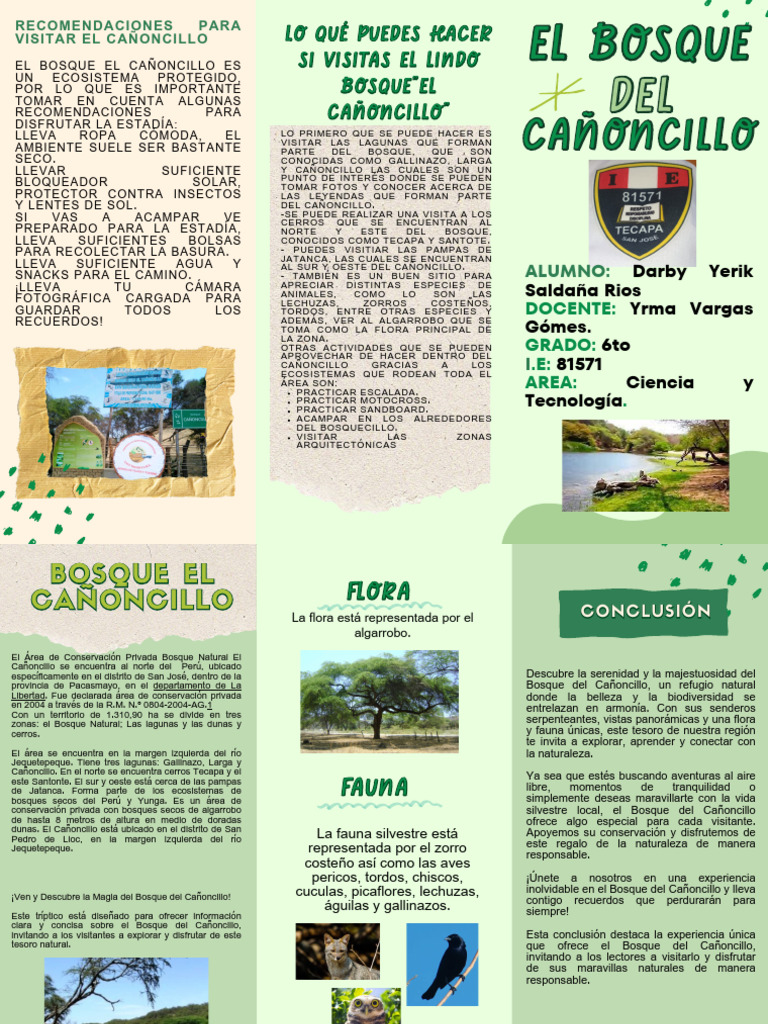 Tríptico BOSQUE | PDF