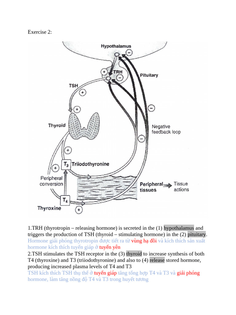 UNIT3-exercise 2,3 | PDF