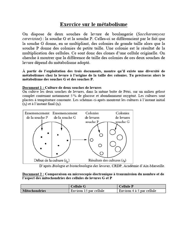 Exercice Sur Le Me Tabolisme Des Levures Corrige Site | PDF