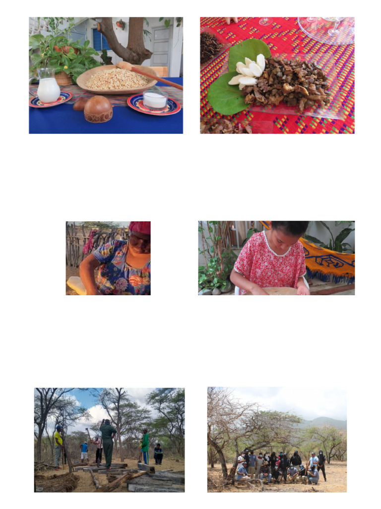 Wayuu | PDF