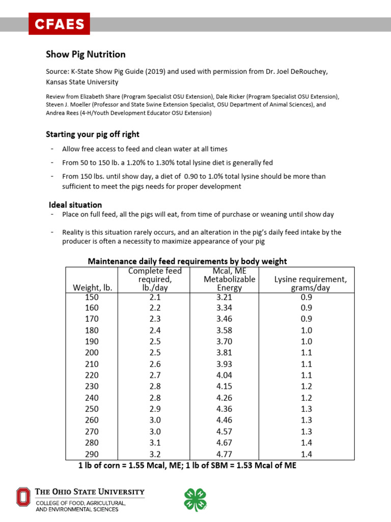 Essential Show Pig Nutrition Guide | PDF | Dietary Supplements | Wellness