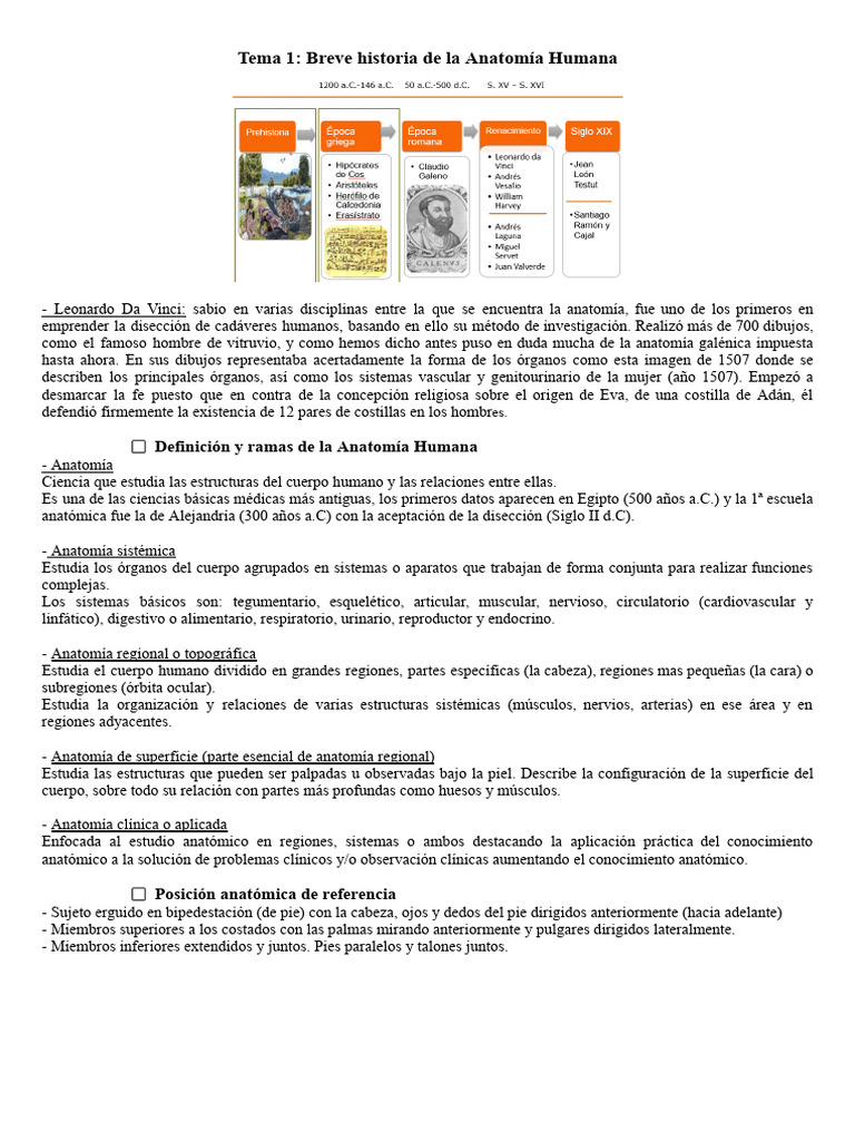 Tema 1 Breve Historia De La Anatomía Humana Pdf