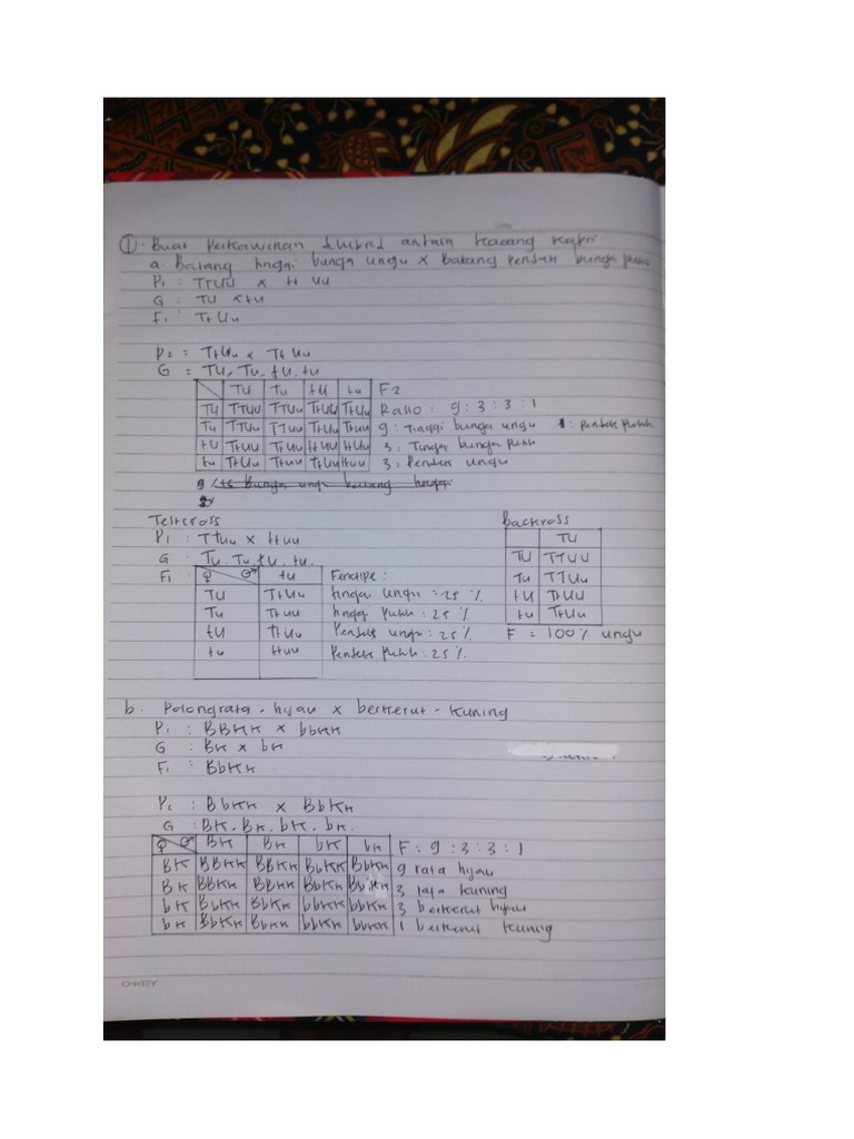 Tugas Genetika | PDF