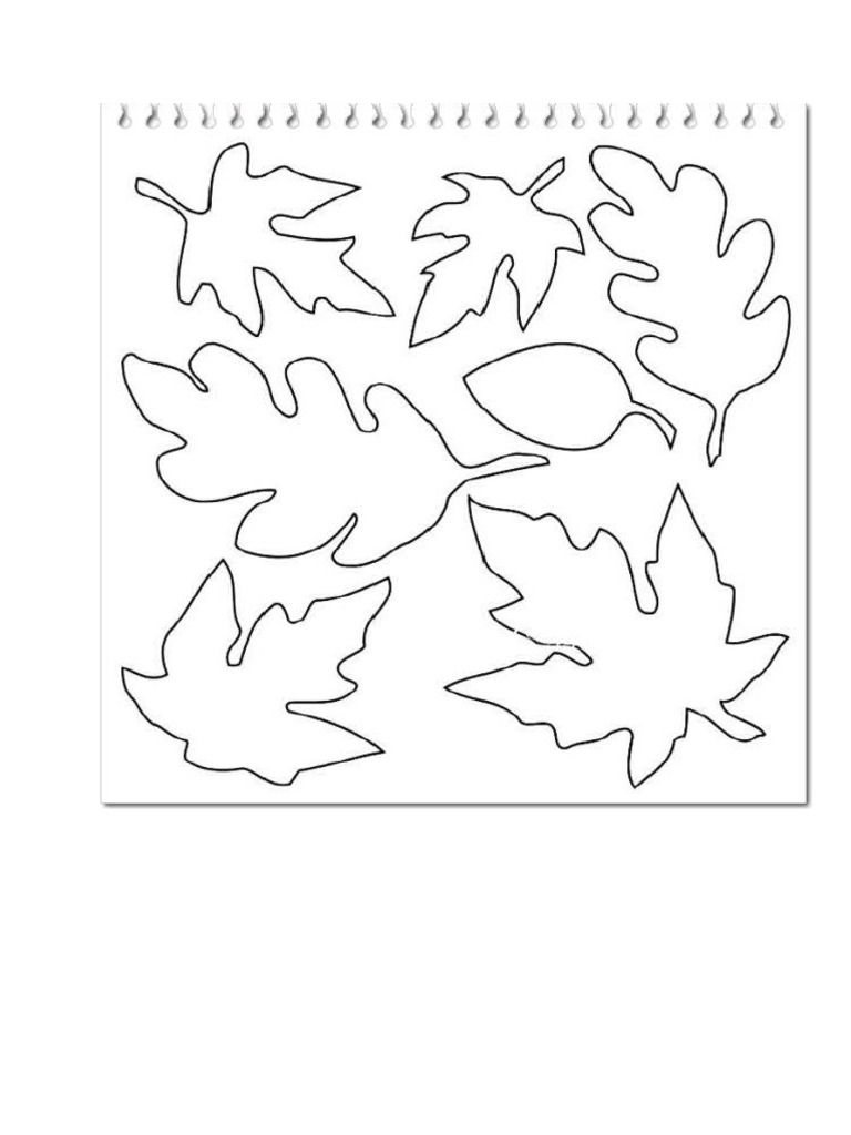 Frunze Diverse | PDF