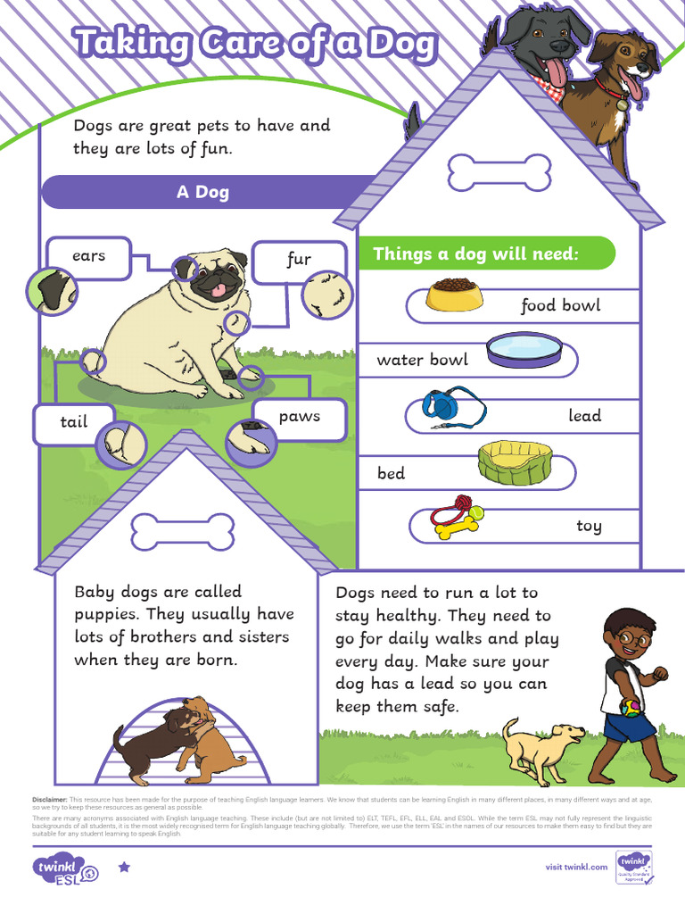 How To Look After A Dog-Lower-Ability | PDF