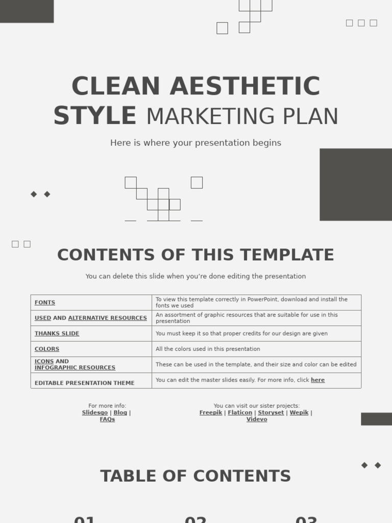 Clean Aesthetic Style Marketing Plan Pdf