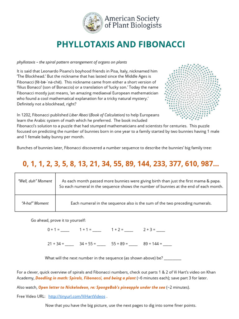 Phyllotaxis Fibonacci | PDF