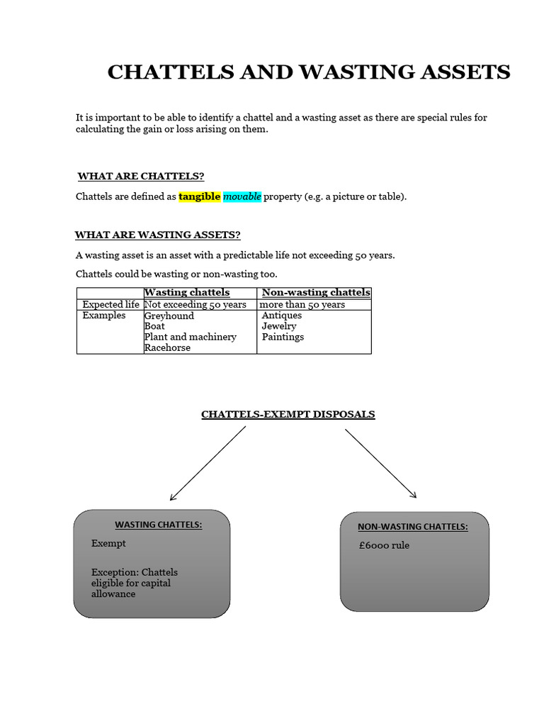 Chp 13 Chattels and Wasting Assets | PDF