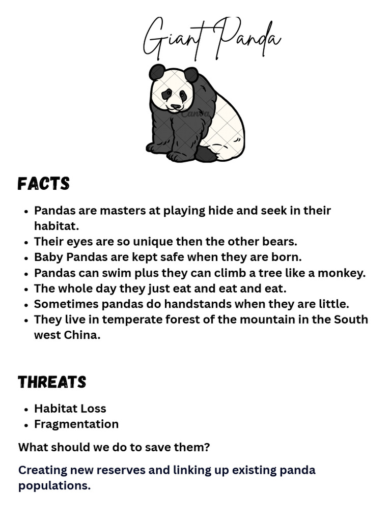 Giant Pandas English Project | PDF
