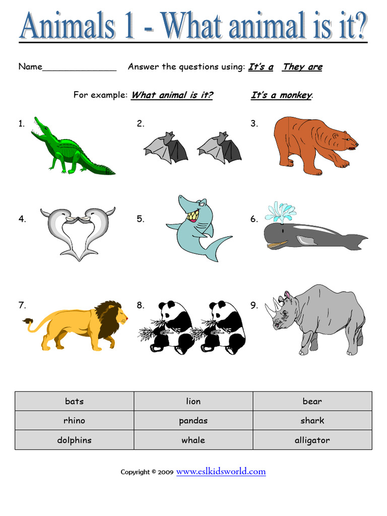 Animals 1 What animal is it worksheet | PDF