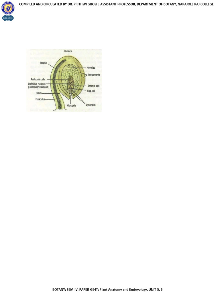 Structure of Ovule: Funicle Body | PDF