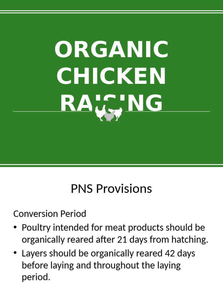 Organic Chicken Raising Guidelines | PDF | Chicken | Cooking, Food & Wine