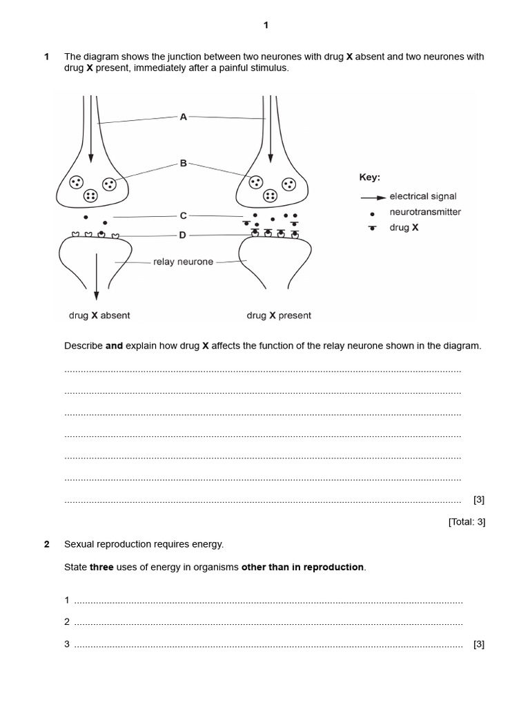 IGCSE Biology test /coordination and response/ | PDF