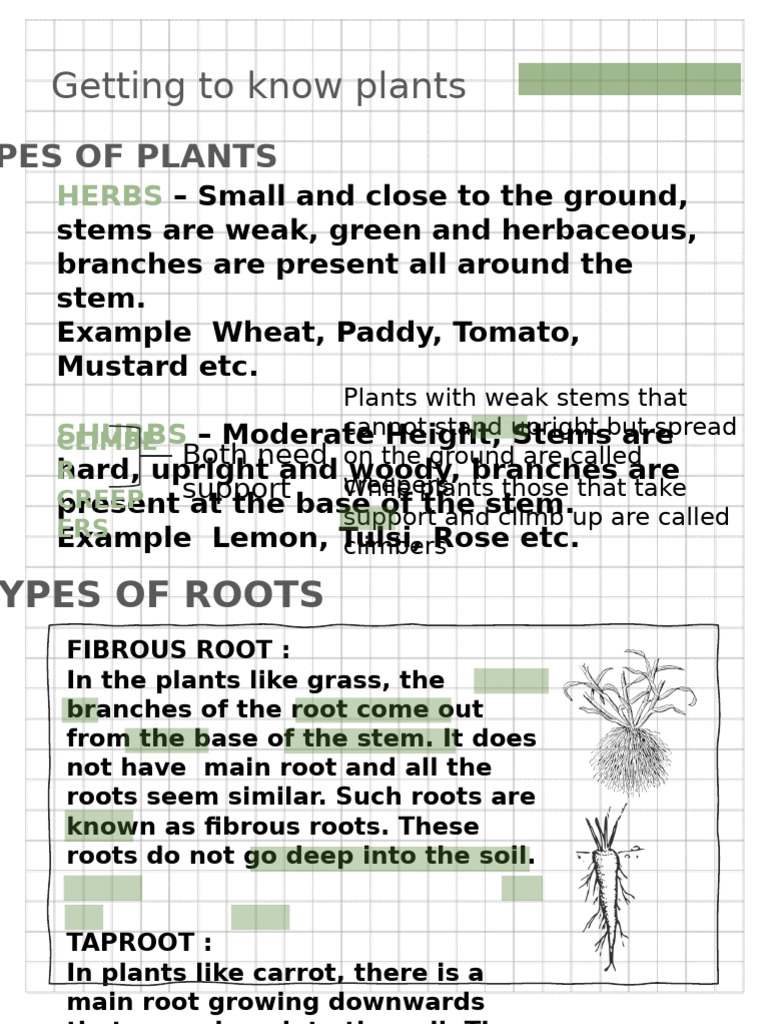 Getting to know plants lecture notes | PDF