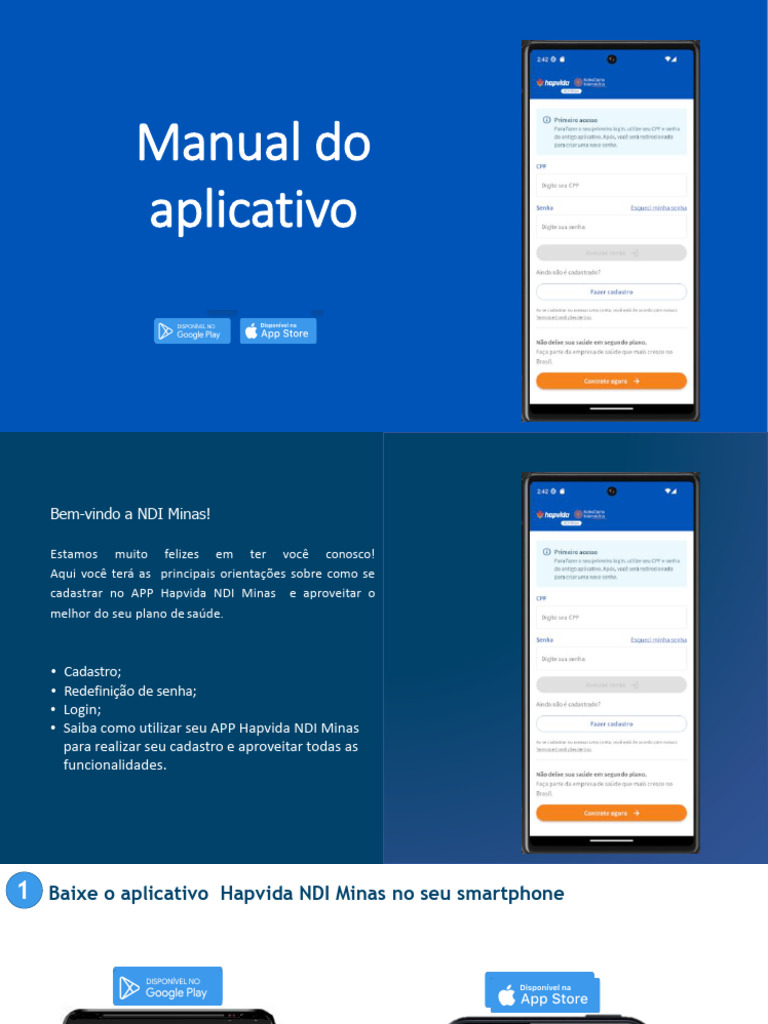 Manual APP NDI Minas | PDF