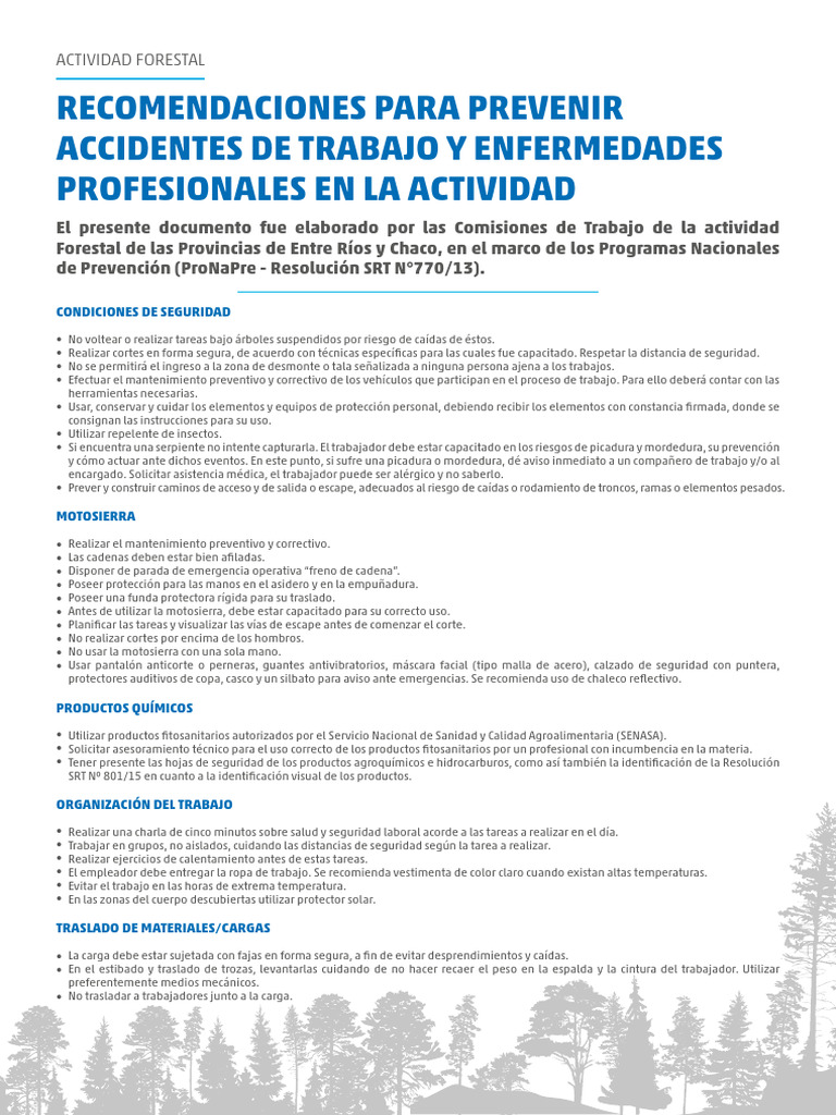 SRT - Afiche - Recomendaciones - Grales - Actividad - Forestal | PDF
